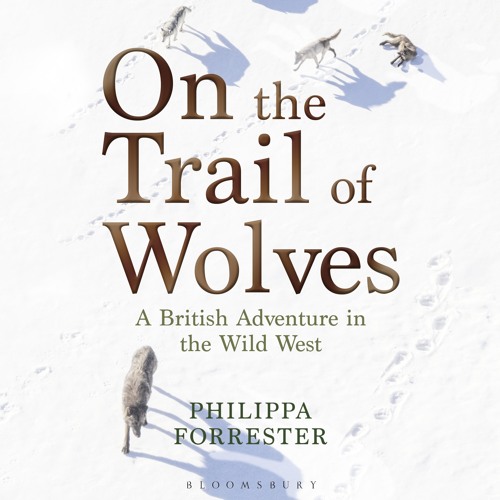Stream On The Trail of Wolves by Philippa Forrester, read by Philippa ...