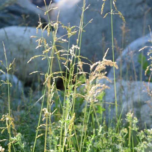 Stream A Beautiful World by Christopher Kinman | Listen online for free ...