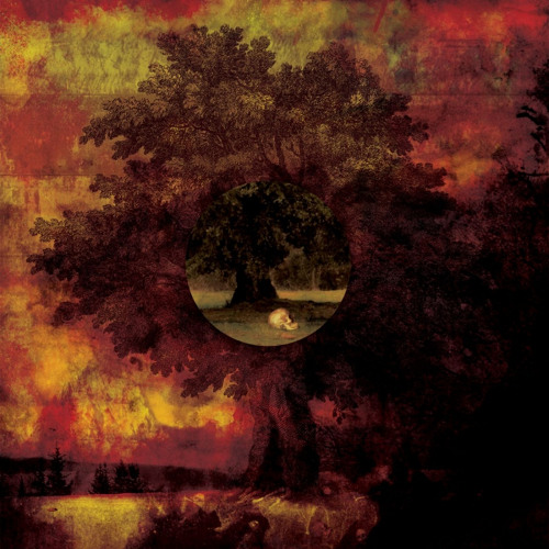 Stream The Walnut Tree by Movie Star Junkies | Listen online for free ...