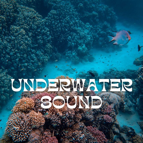 Stream Ocean Underwater Sound by Underwater Sounds Channel | Listen ...