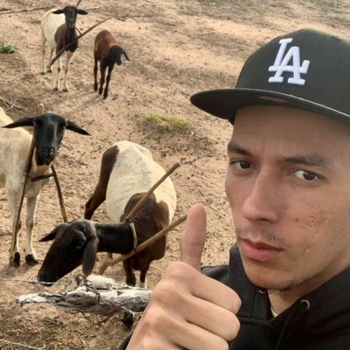 Stream Gype Strike - Maior Pássaro (P. OGxool) by OGxool 4 | Listen ...