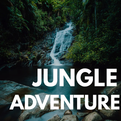 Stream Jungle Adventure by B613 | Listen online for free on SoundCloud
