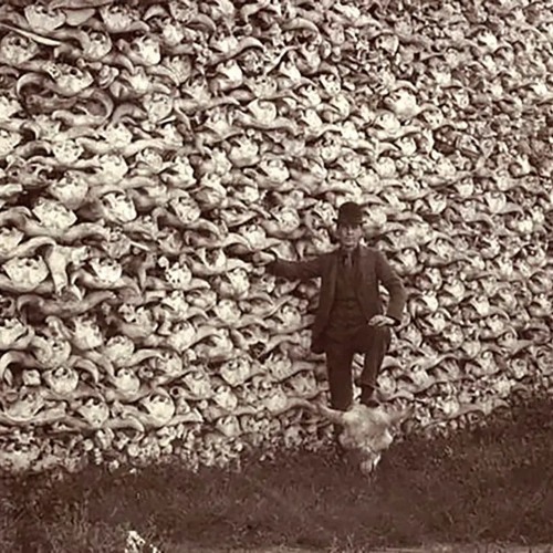 Stream episode The Industrial Revolution in the West by Dylan Shearer ...