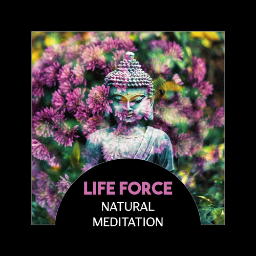 Stream Tree of Life Meditation by Buddhist Meditation Music Set ... Stream Tree of Life Meditation by Buddhist Meditation Music Set ...