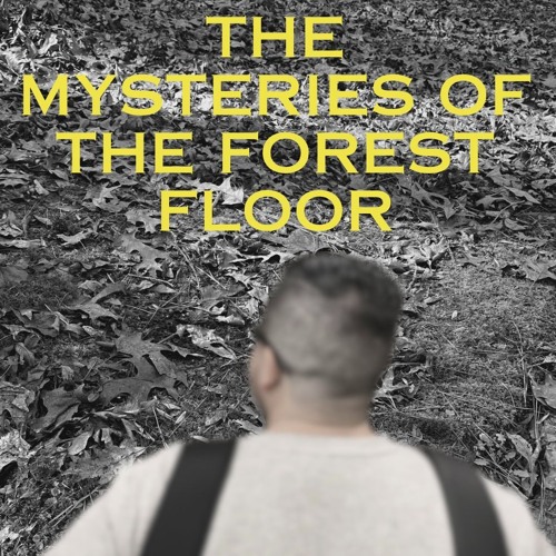 Stream episode The Mysteries of The Forest Floor by Sam Cancilla ...