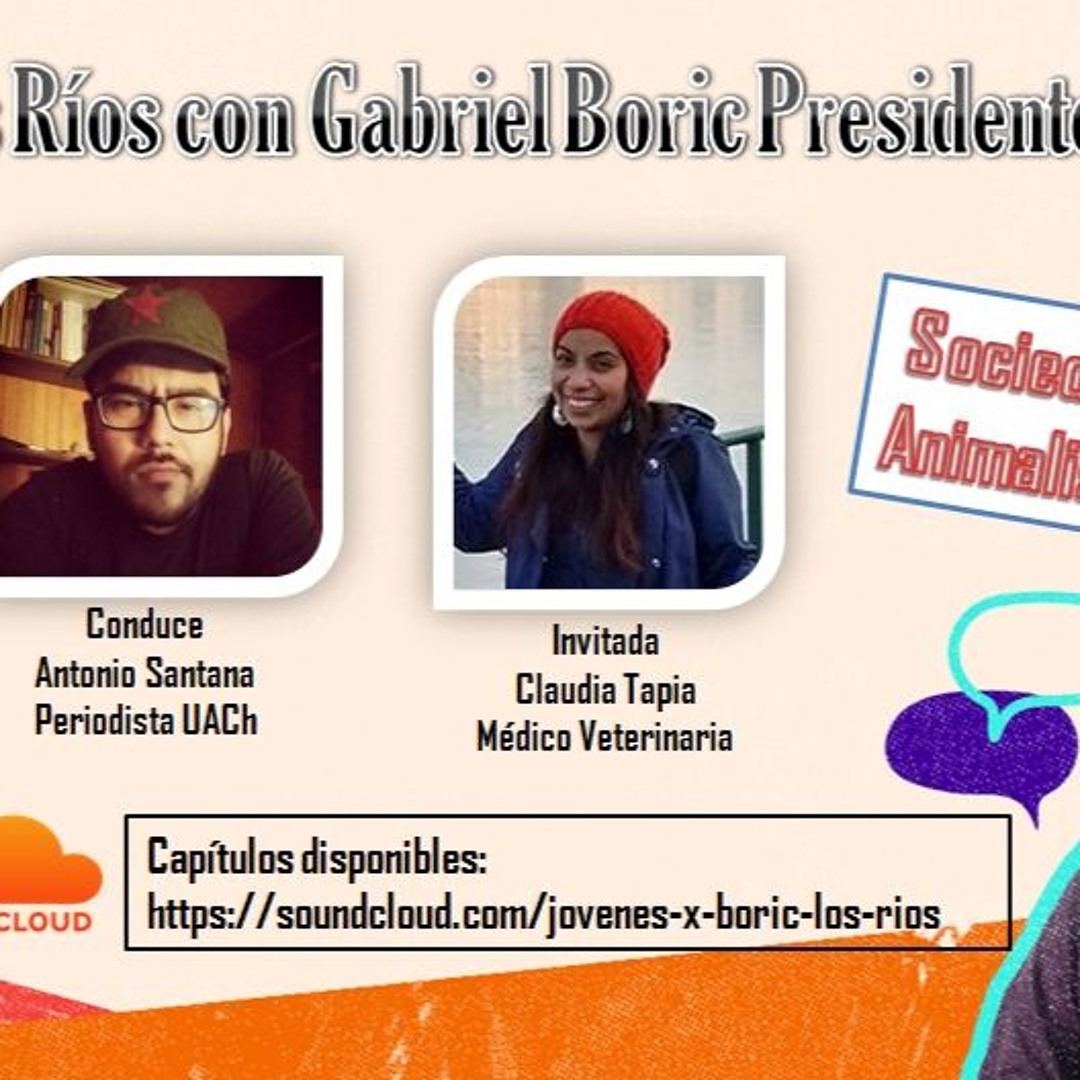 Stream Los Ríos con Gabriel Boric - Cap 01 - Mediambiente y Bienestar ...