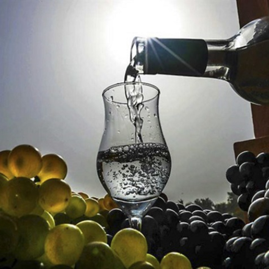 Stream El Pisco y sus orígenes, inscripción en la Unesco y datos que no ...