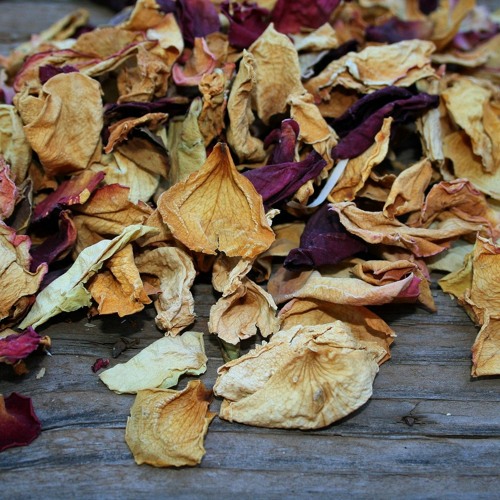 Stream ice machine- broken note by OSMIO | Listen online for free on ...