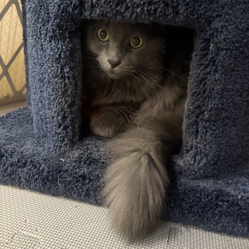 Stream Jayden x Christian | Listen to Car playlist online for free on ...