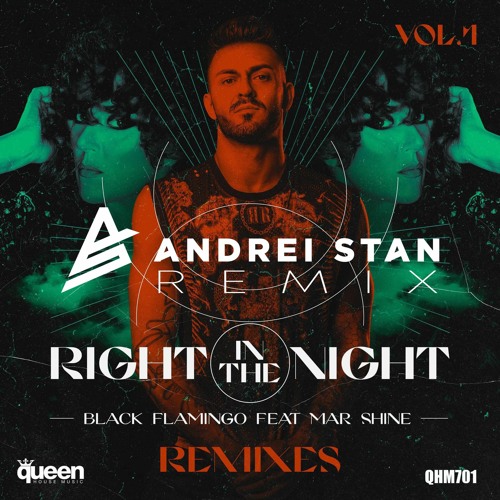 Stream Black Flamingo Feat. Mar Shine - Right In The Night (Andrei Stan Remix) by Dj Andrei Stan ...