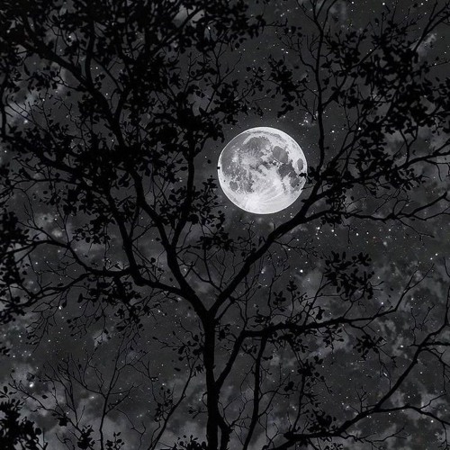 Stream شهاب السيد - Shehab El sayed by SaadElden | Listen online for free on SoundCloud