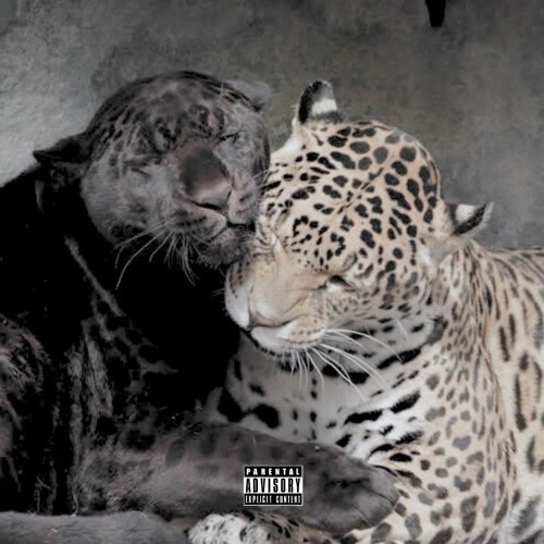 Stream Dump ft bluye [k0na] by KD Jxgged Yaa (@opi17) | Listen online ...