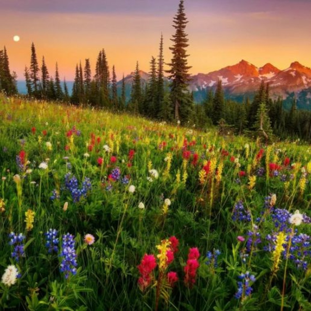 Stream 840m | Listen to Atlas Rapper loading background (FREE DOWNLOAD ...