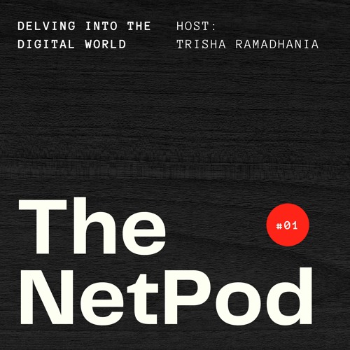 Stream episode The NetPod Ep. 1 - The Internet of Things: What Does it ...