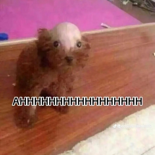 Stream ꙳ ꧁𝙲𝚛𝚘𝚠𝚎 𝙸𝚌𝚑𝚊𝚋𝚘𝚍꧂ ꙳ | Listen to 𝓜𝓮 𝓪𝓯𝓽𝓮𝓻 𝓶𝔂 𝓶𝓸𝓶 𝓼𝓪𝓲𝓭 𝓷𝓸 𝓶𝓸𝓻𝓮 ...