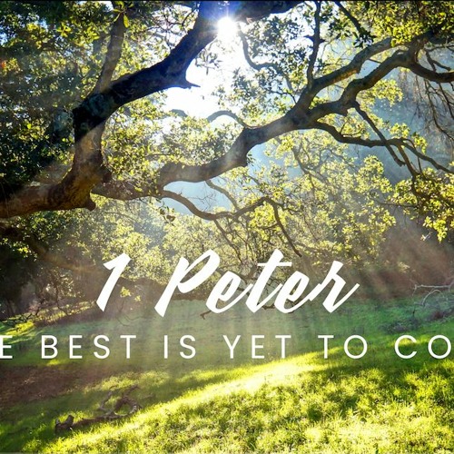 Stream The Blessing of Christian Suffering | Austin Loke | 1 Peter 4:12 ...