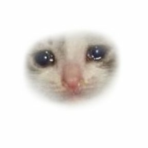 Stream Picajzla by P R O T A A N T A | Listen online for free on SoundCloud