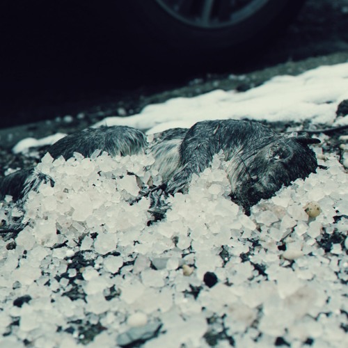 Stream Roman Colabella | Listen to A Cold One playlist online for free ...