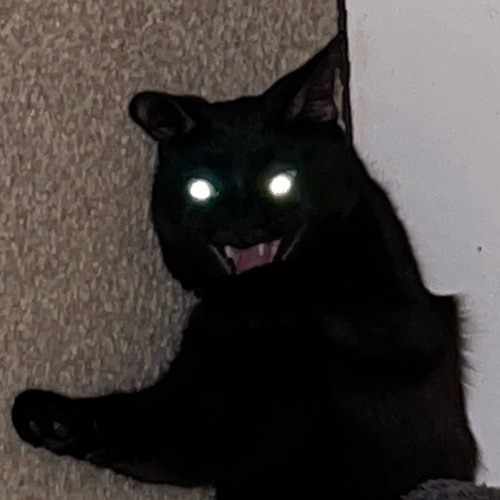 Stream DOJA CAT - DEMONS (just milk edit) by Just Milk | Listen online ...