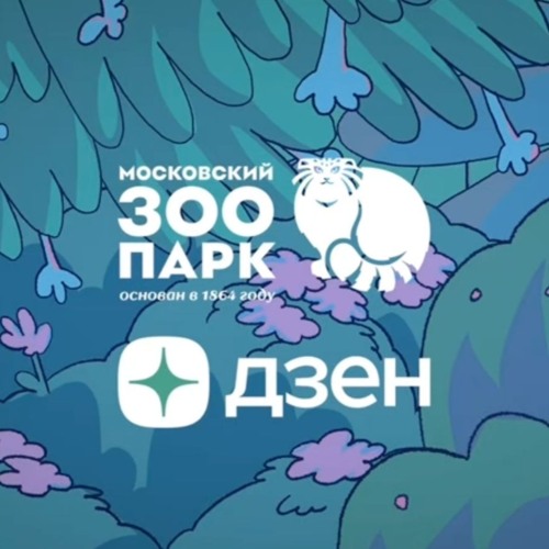 Stream Panorama Channel — Hedgehog (Dzen x Moscow Zoo) by Panorama ...