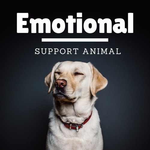 Stream Different types of emotional support animals by Fast ESA Letter ...