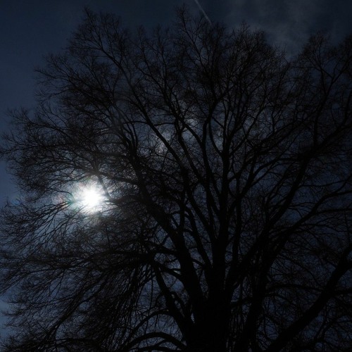 Stream playboi carti - @ meh (llusion x banakula extended - no loop) by ...