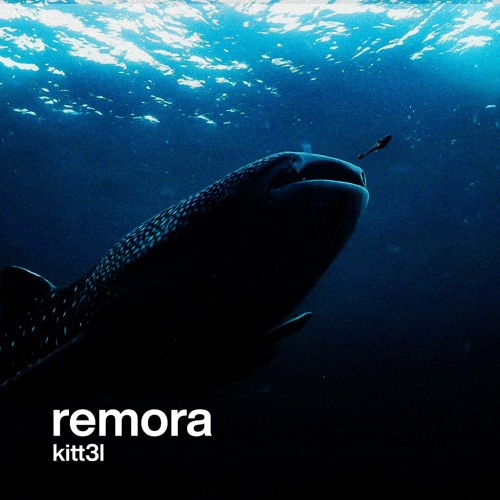 Stream remora by kittl | Listen online for free on SoundCloud