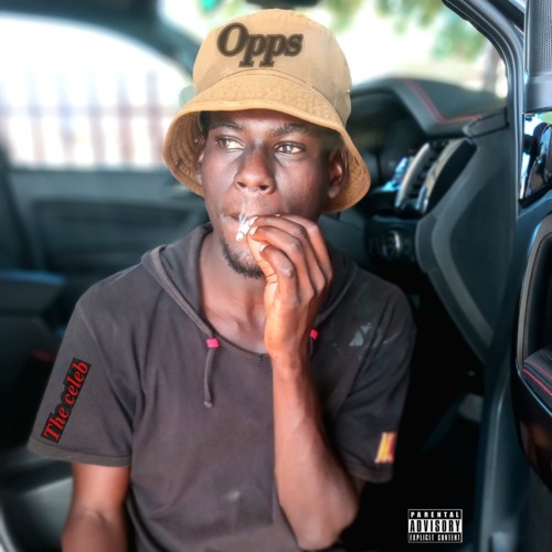 Stream The Celeb Opps by Blessing | Listen online for free on SoundCloud