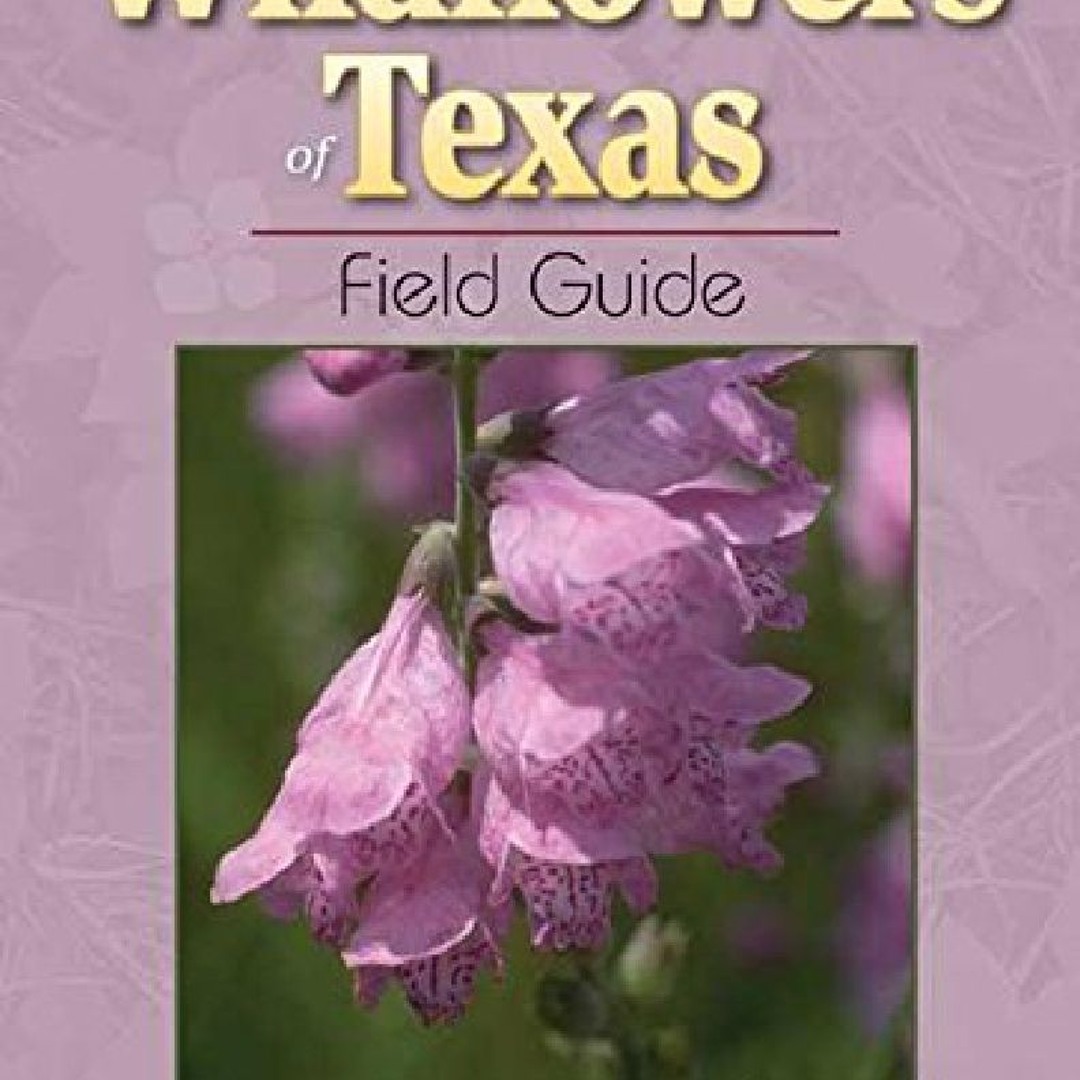 Stream [PDF] ️DOWNLOAD⚡️ Wildflowers of Texas Field Guide (Wildflower ...