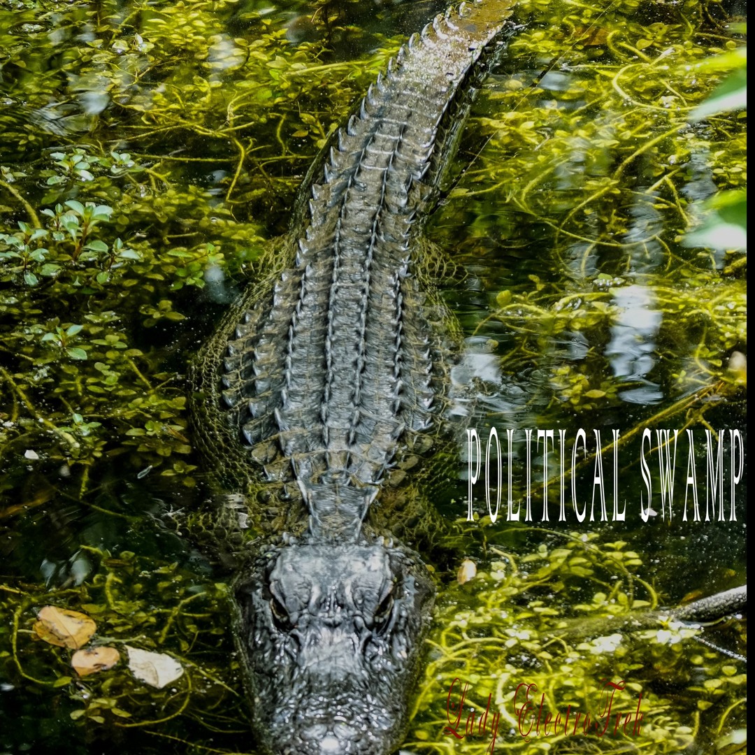 Stream Political Swamp by ElectroTrek | Listen online for free on ...