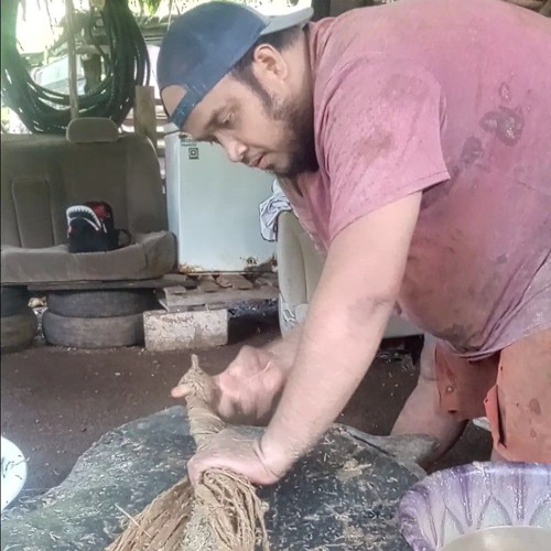 Stream PNI MIX 2024 - RAY STEVEN_1725411587747.mp3 by chris & jimm ...