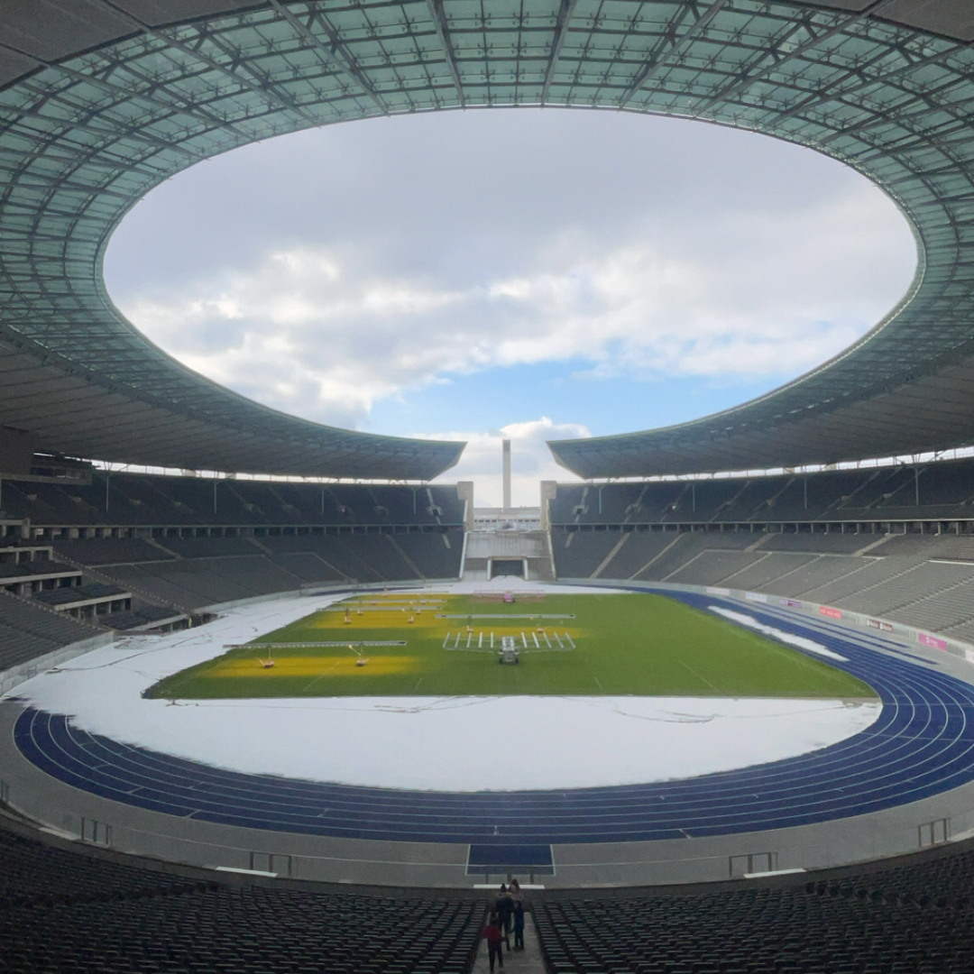 Stream Msn | Listen to The sigma house music playlist playlist online ...