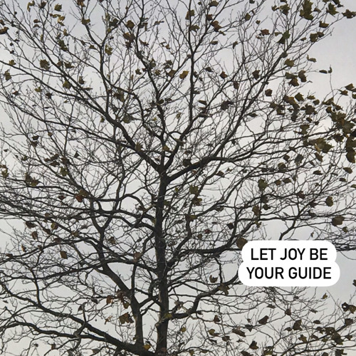 Stream 1.Let joy Be your guide by Leonie van Oost | Listen online for free on SoundCloud