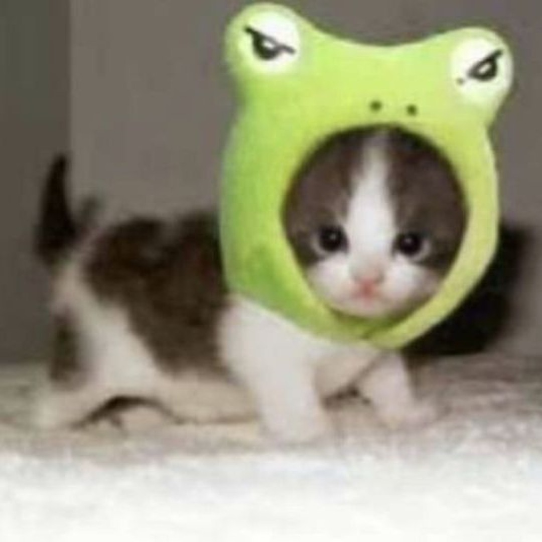 Stream You look like butter by Sandy Vobet | Listen online for free on ...