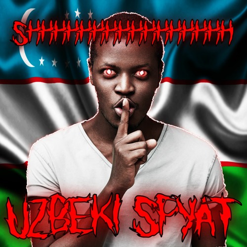 Vmeste Spyat Ленивая сибирская лайка и ши-тцу спят вместе на полу ...