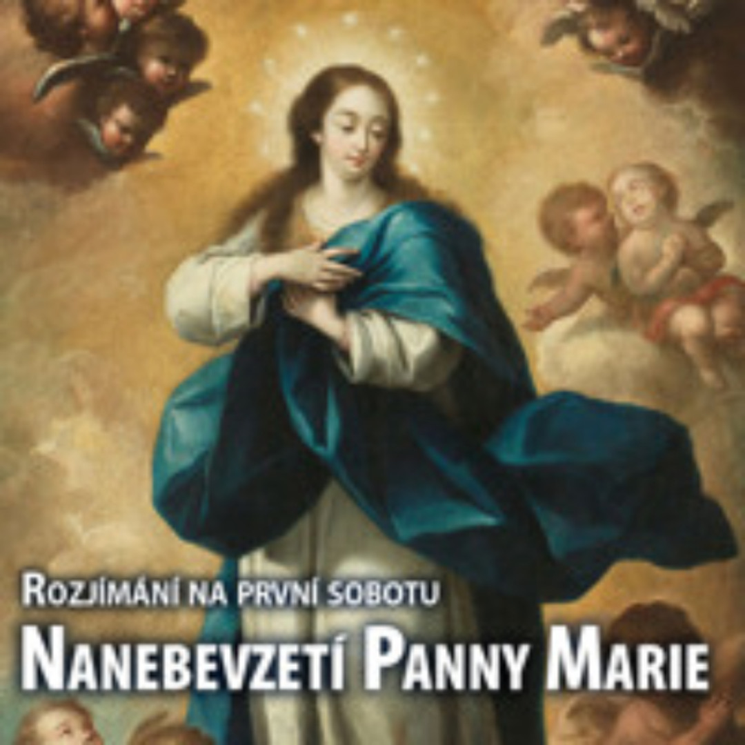 Stream Rozjímání na první sobotu – Nanebevzetí Panny Marie by Časopis ...