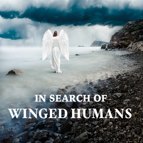 Stream In Search Of Winged Humans by Alex Panisello | Listen online for ...