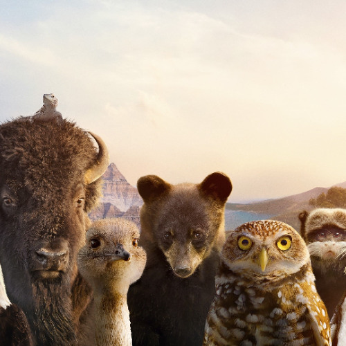 Stream FullEpisodes The Americas: Season 1 Episode 7 #mkoxOY by ...