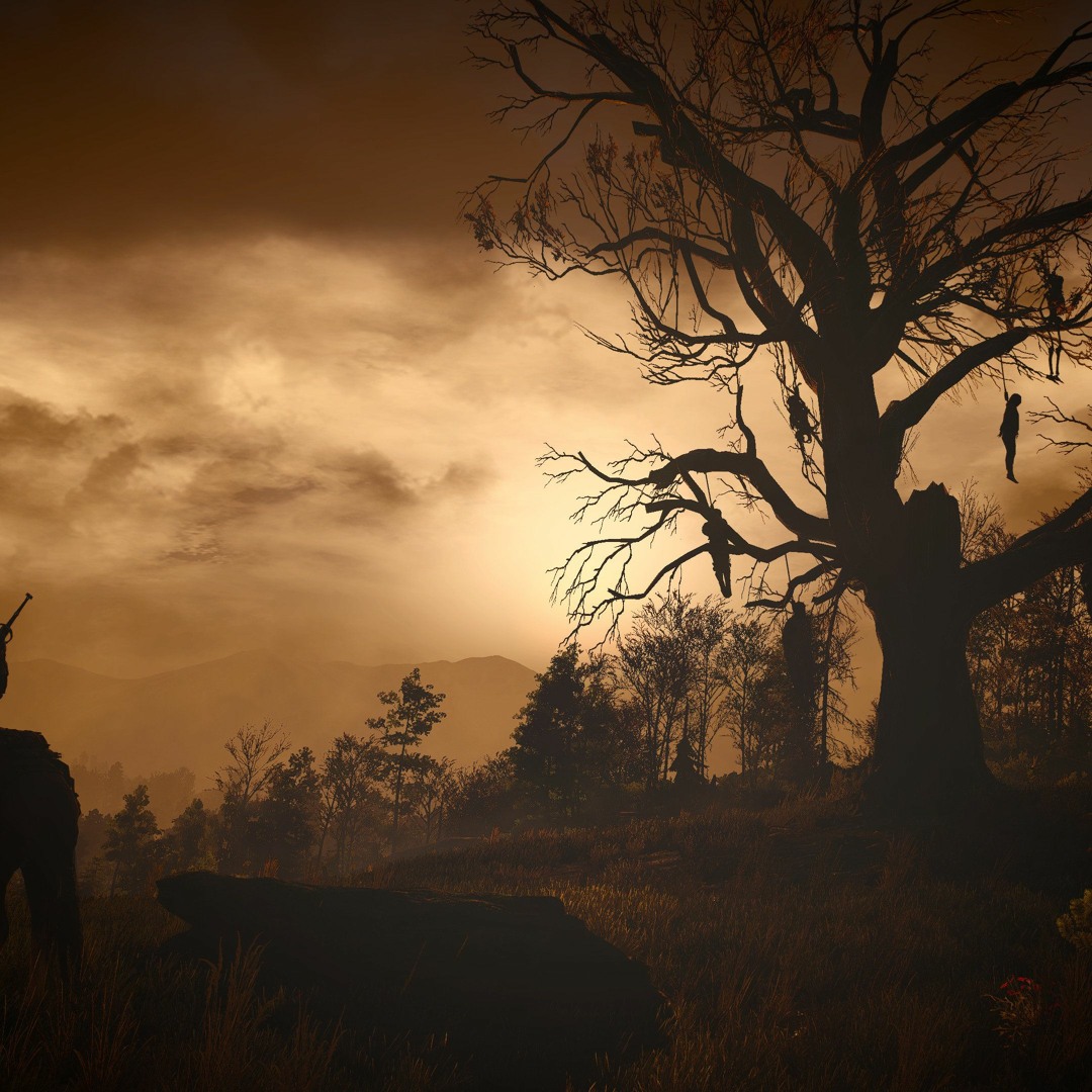 Stream The Witcher 3- Velen Ambient Theme Extended by Dovah | Listen ...