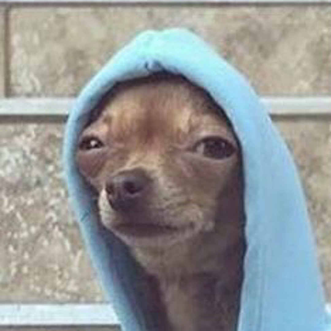 Stream BIPPLEYIPSNIPP - City girls by t0mmyhead | Listen online for ...