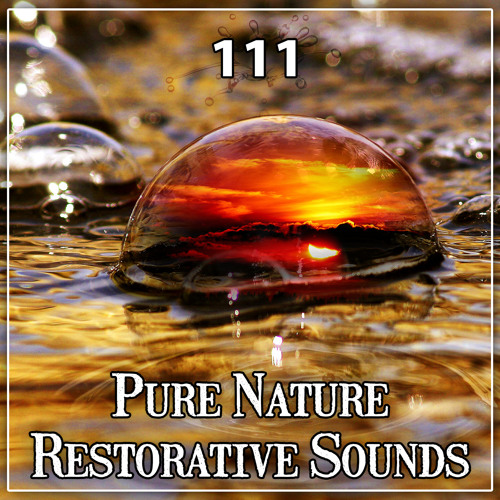 Stream Mind Control: Water Sound by Zen Soothing Sounds of Nature ...