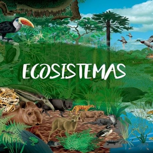 Stream Manarcy Caicedo Listen To Los Ecosistemas Playlist Online For