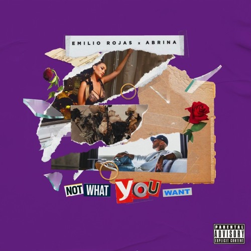Stream Not What You Want ft. Abrina by Emilio Rojas | Listen online for ...
