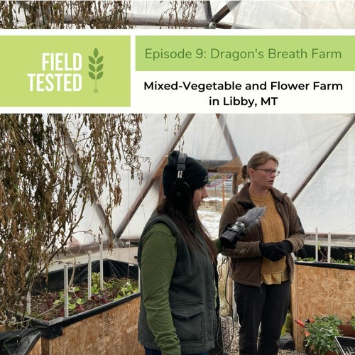 Stream episode Episode 9: Dragons Breath Farm by Community Food ...
