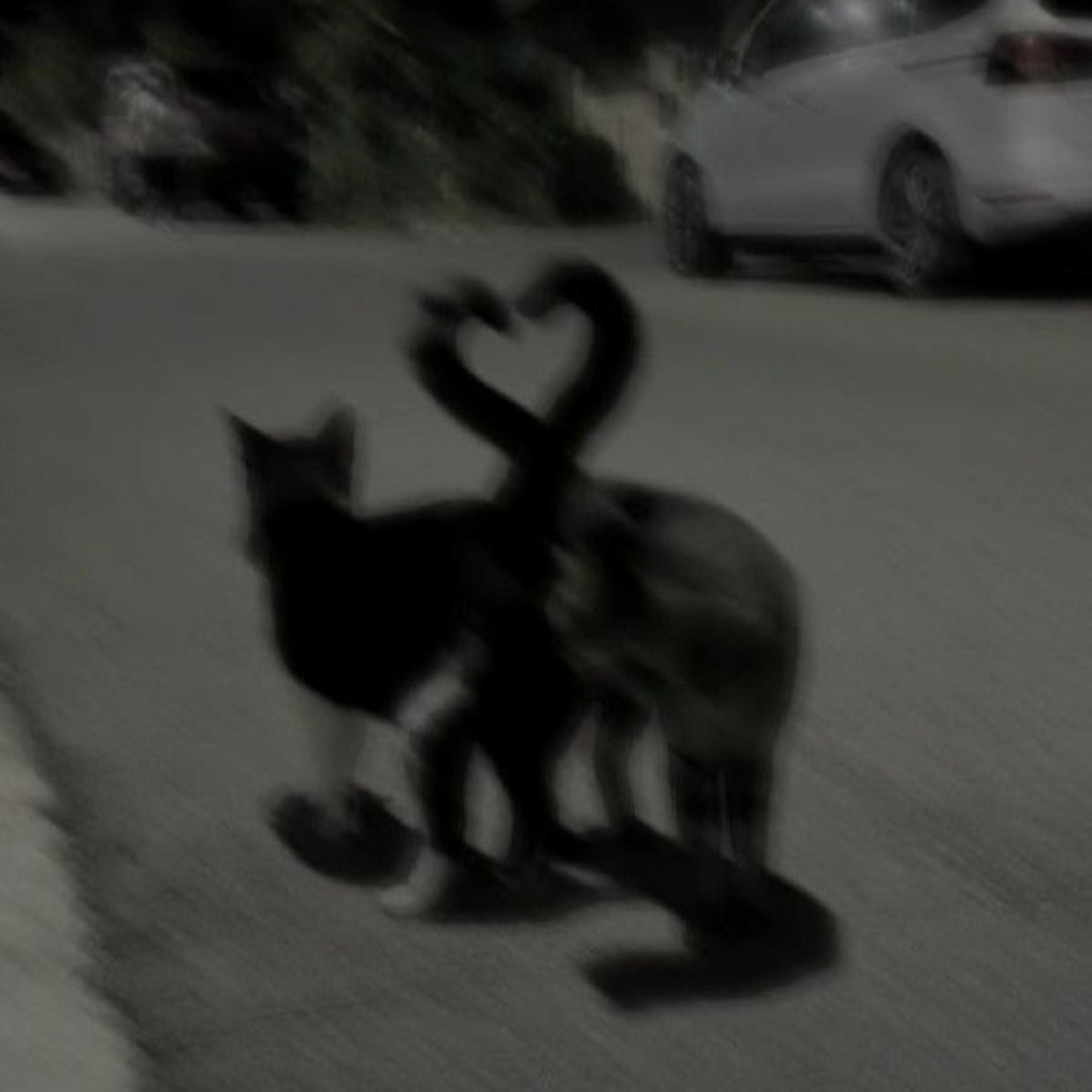 Stream TJ_beastboy - 20Uhr15 [shikaruma Tekk Remix] by shikaruma ...