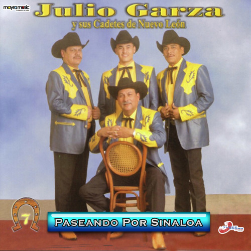 Stream Con Un Nudo En La Garganta by Julio Garza | Listen online for ...