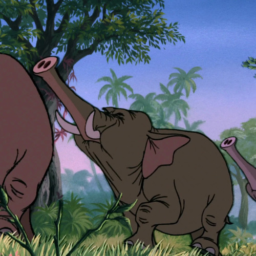 Stream Sound Ideas, ANIMAL, ELEPHANT - ELEPHANT TRUMPET, CARTOON ...