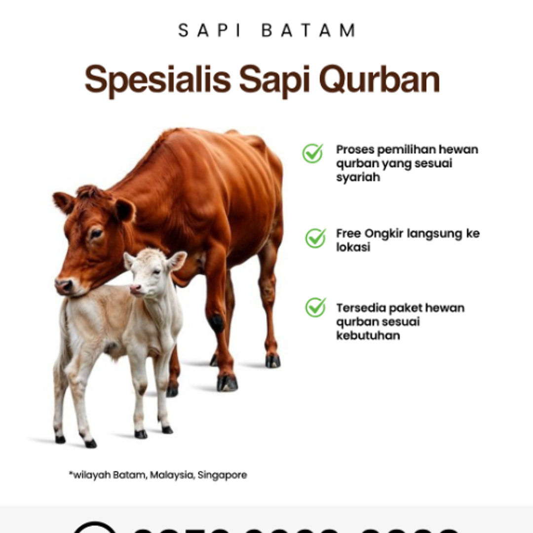 Stream episode Hub. 0853 6662 0008, Pusat Jual Kambing Qurban 2026 Rahayu Sapi Batam by Ryan Adi ...