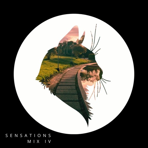 Stream SENSATIONS MIX IV by DJ MARIO CASAS | Listen online for free on ... Stream SENSATIONS MIX IV by DJ MARIO CASAS | Listen online for free on ...