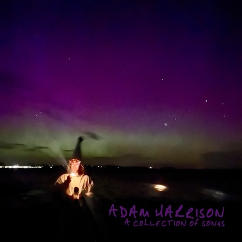 Stream The Cymatic Circus Priest by Adam Harrison | Listen online for ...